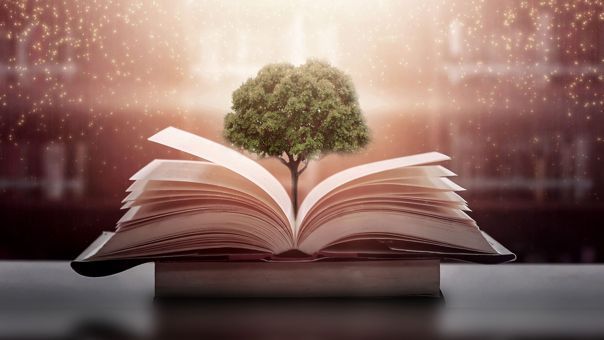 Benefiting From Knowledge - troid.org | Digital Daʿwah