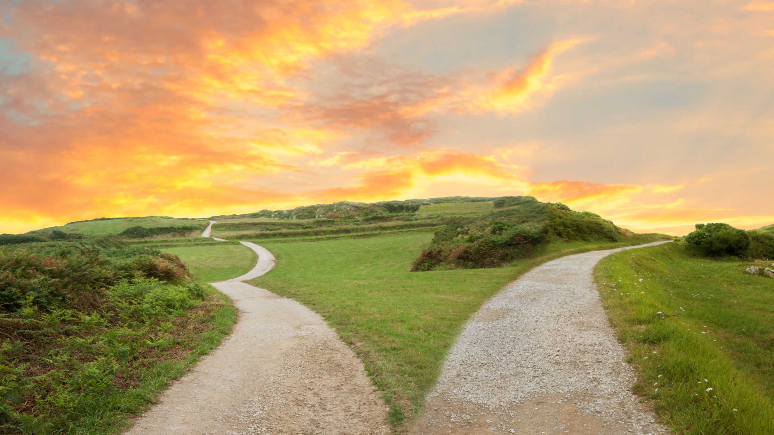 The Path to Guidance - troid.org | Digital Daʿwah