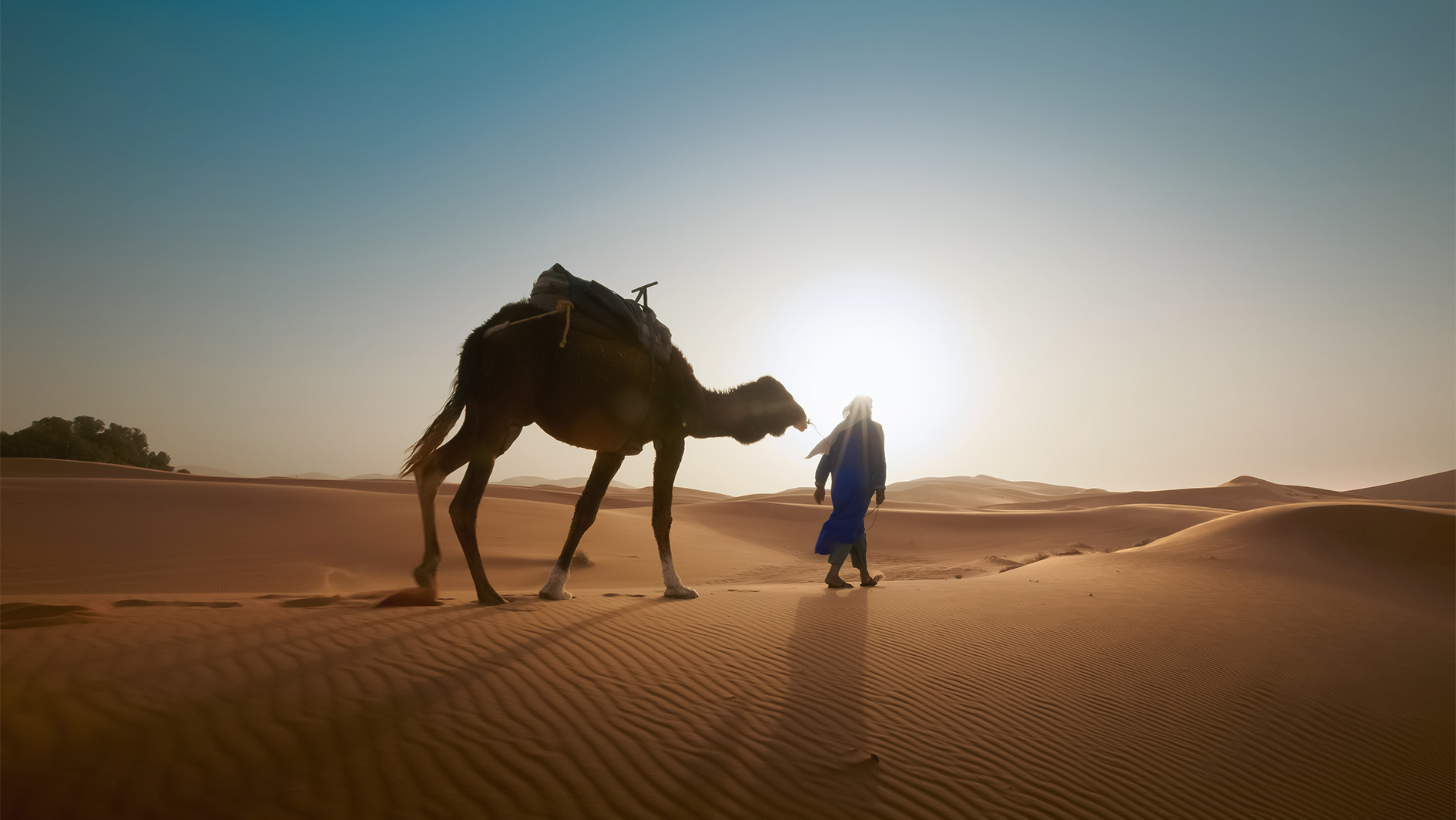 The Advice of ʿUmar ibn ʿAbd al-ʿAzīz Concerning the Incumbency of the ...