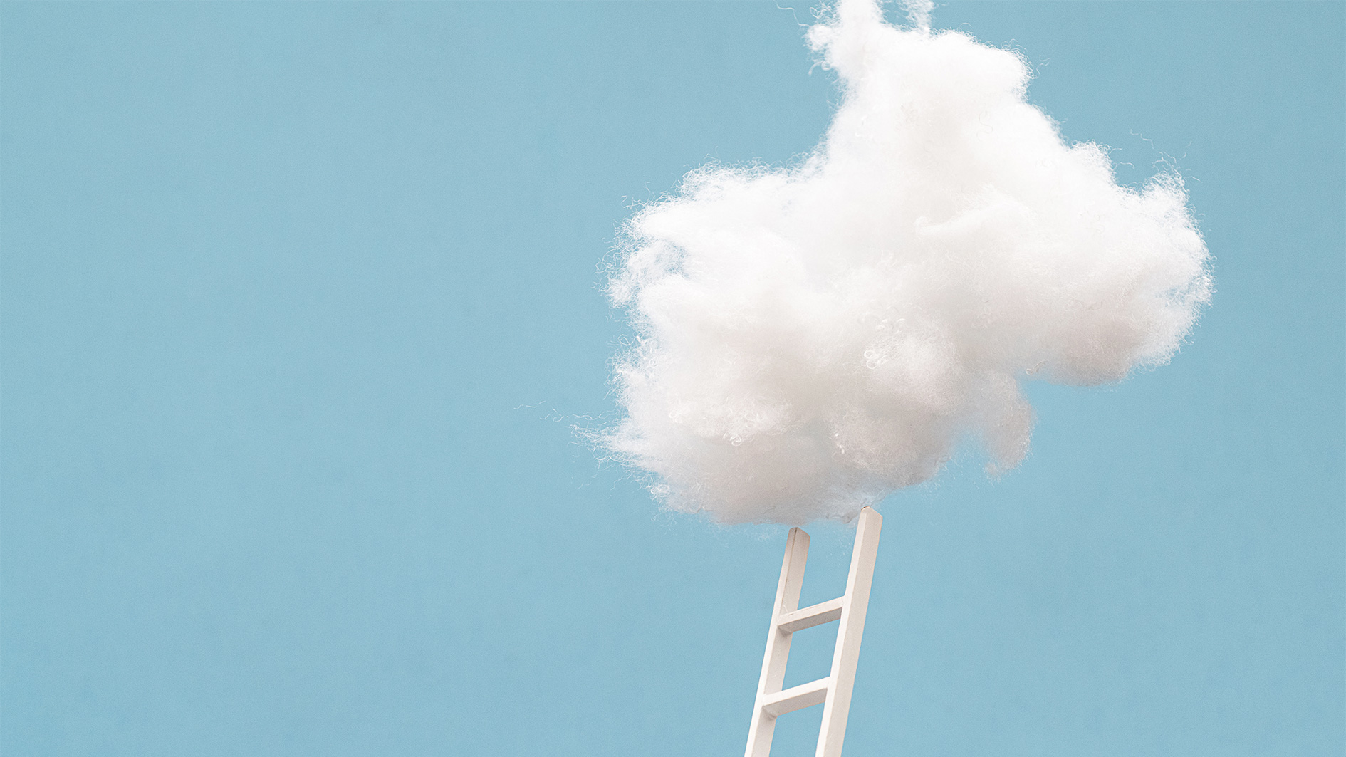 The Noble Concern - troid.org | Digital Daʿwah