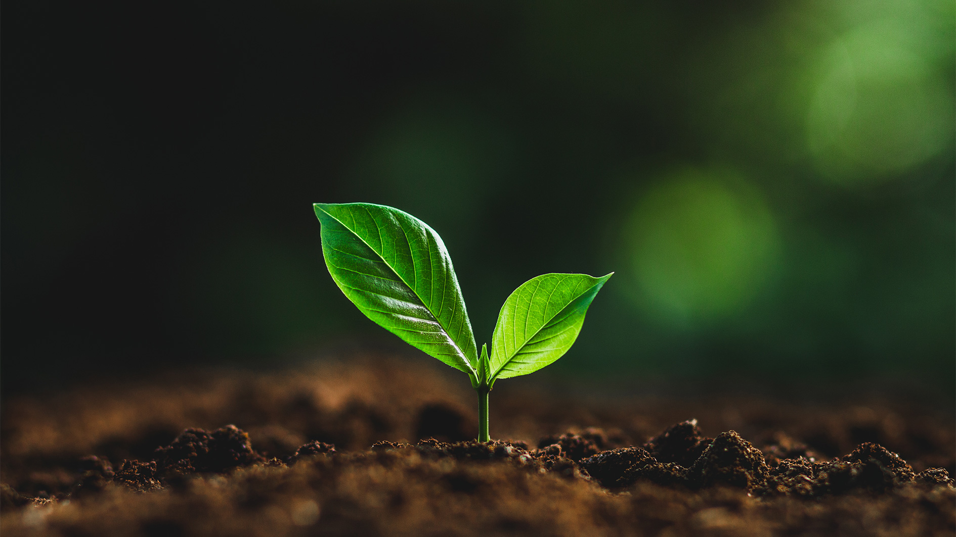 The Acceptance of Good Deeds - troid.org | Digital Daʿwah