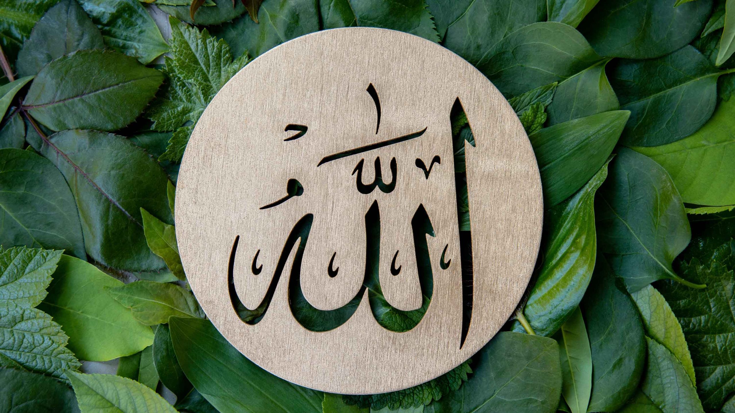 From the Rights of Tawḥīd - troid.org | Digital Daʿwah