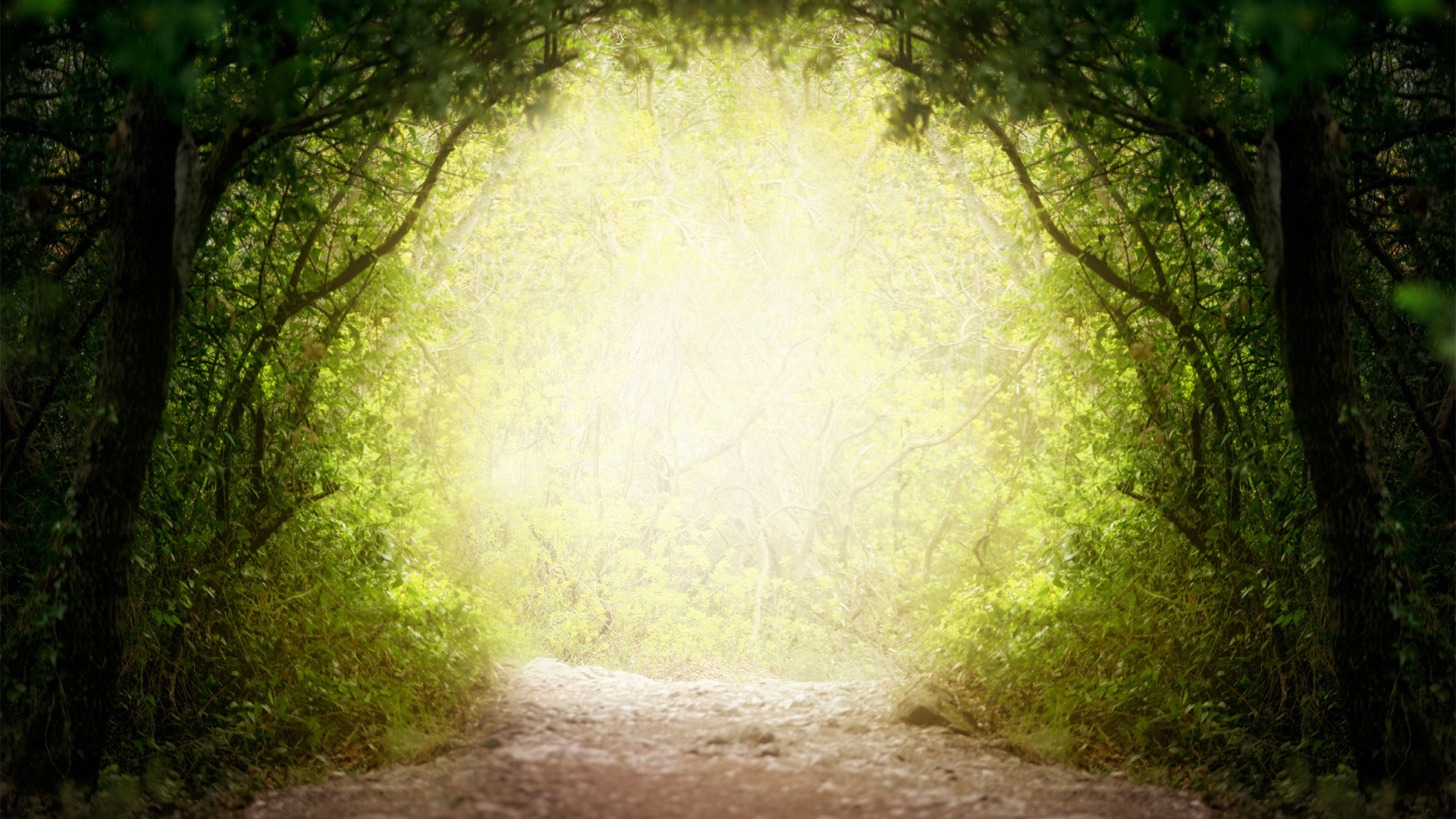 Give Thanks and Praise to Allāh who Guided you to Islām and the Sunnah ...