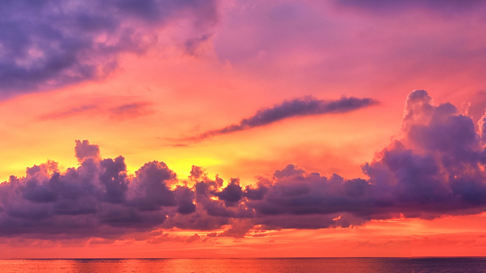 The Concise Legacy - troid.org | Digital Daʿwah