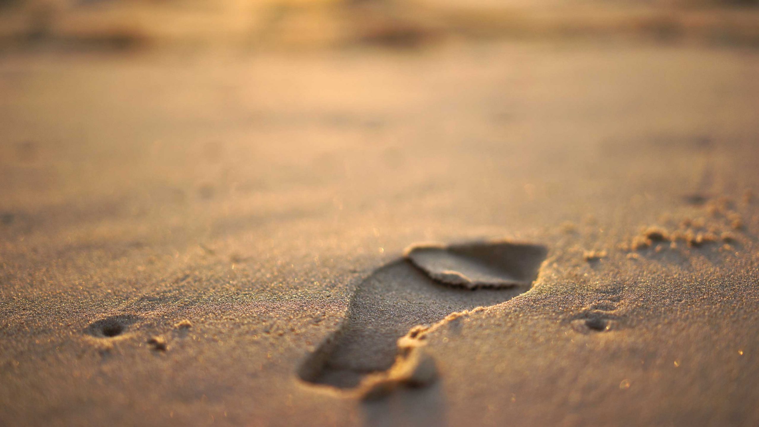 Do Not Follow in the Footsteps of al-Shayṭān - troid.org | Digital Daʿwah