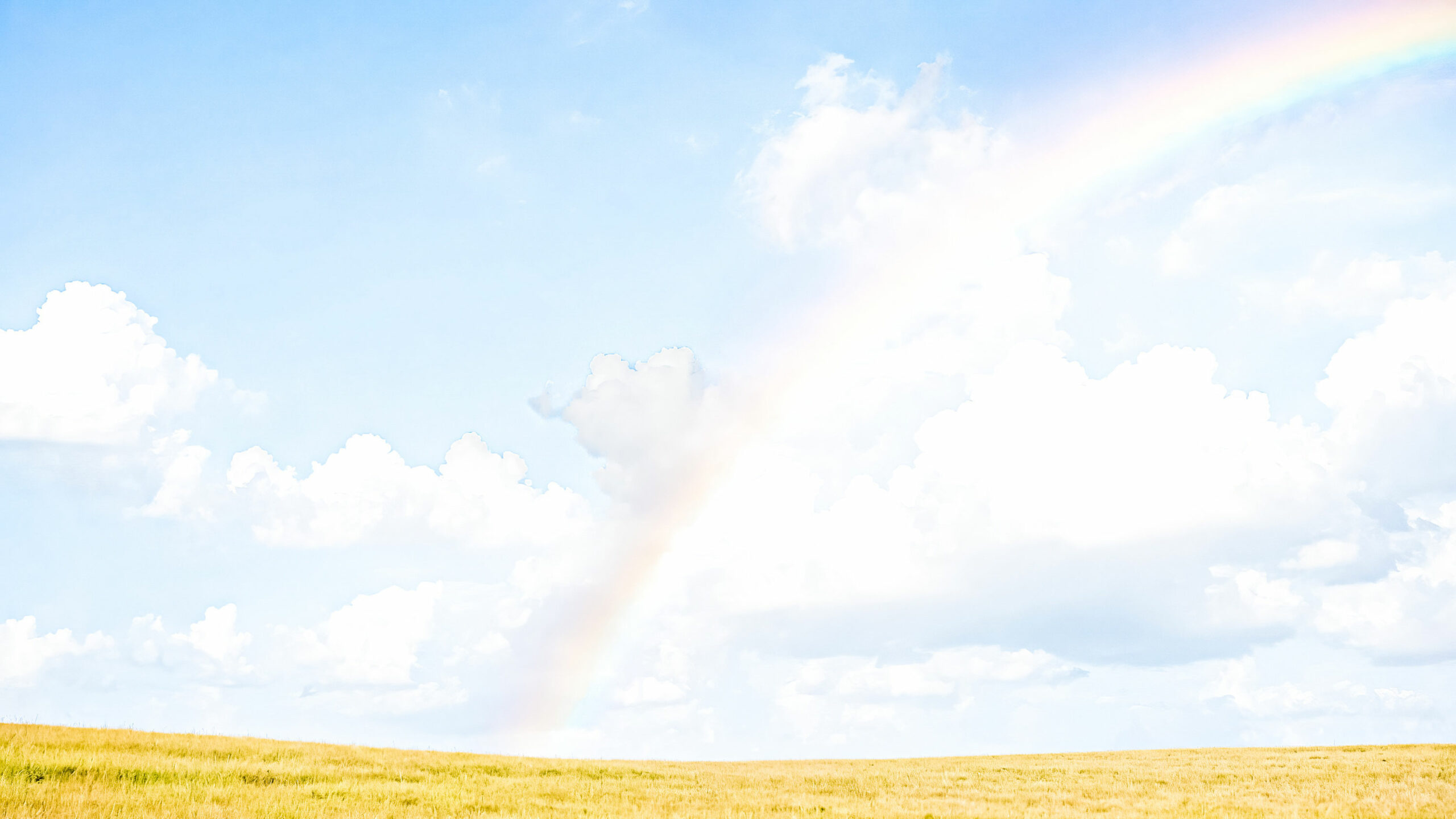 How to Display Thankfulness for Allāh's Blessings - troid.org | Digital ...
