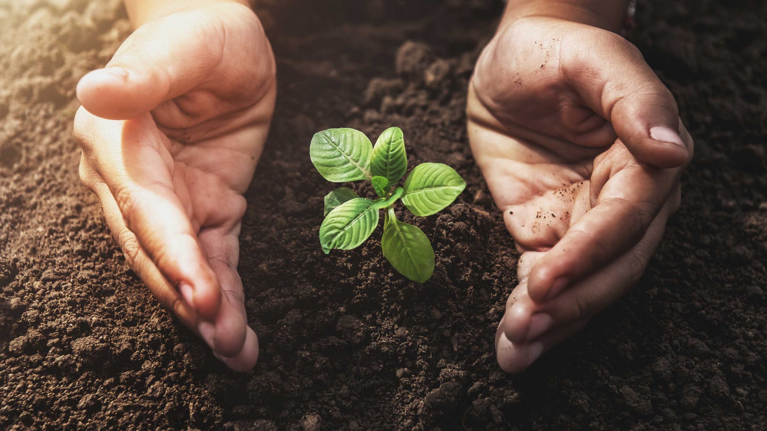 Cultivating the Youth - troid.org | Digital Daʿwah