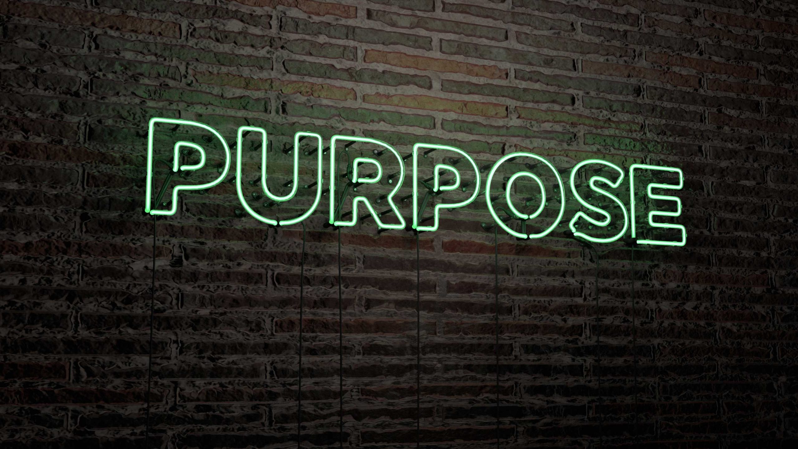 Our Life Is Not Without Purpose - troid.org | Digital Daʿwah