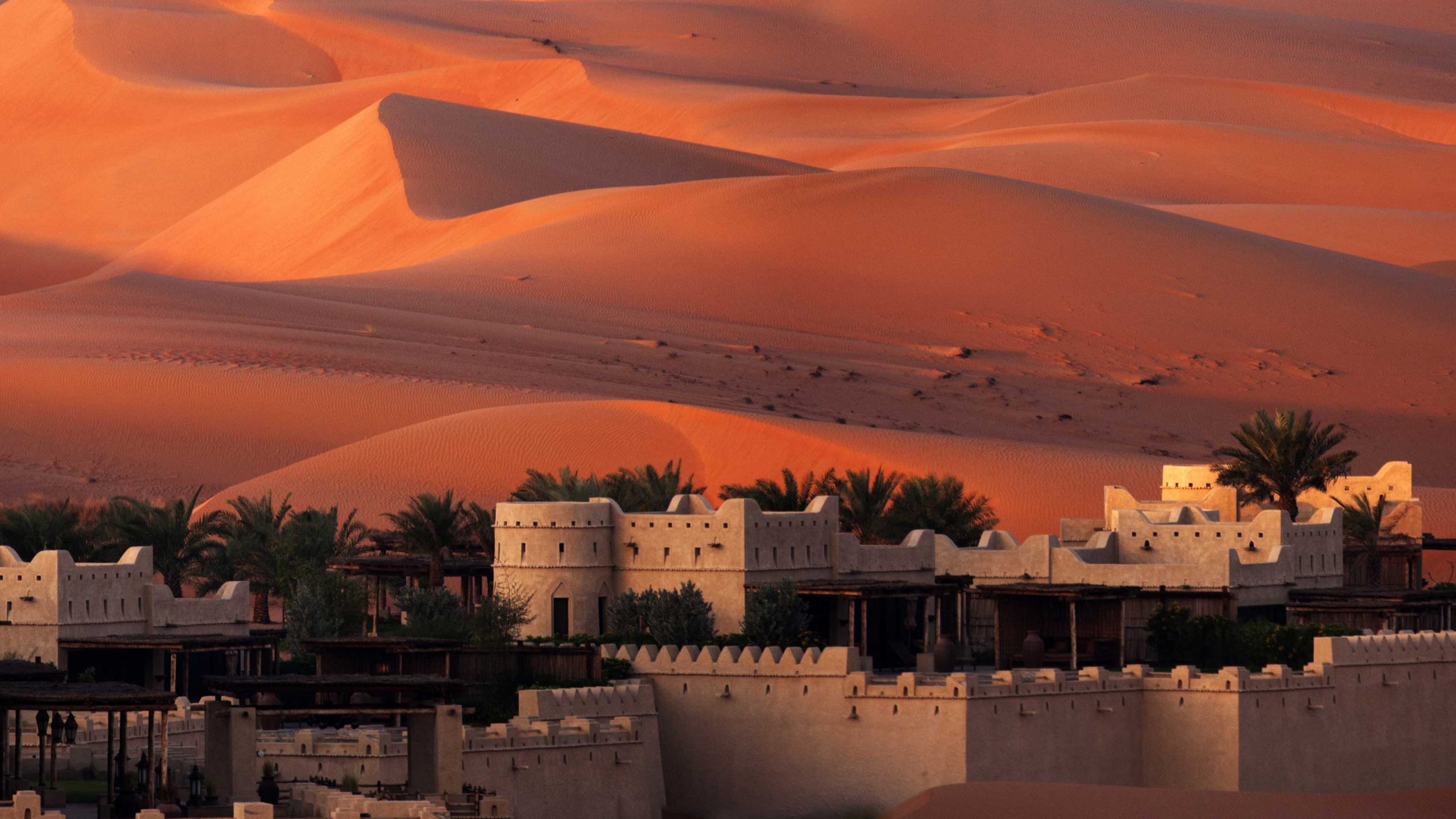 The Behaviour of the Salaf in Times of Fitnah - troid.org | Digital Daʿwah