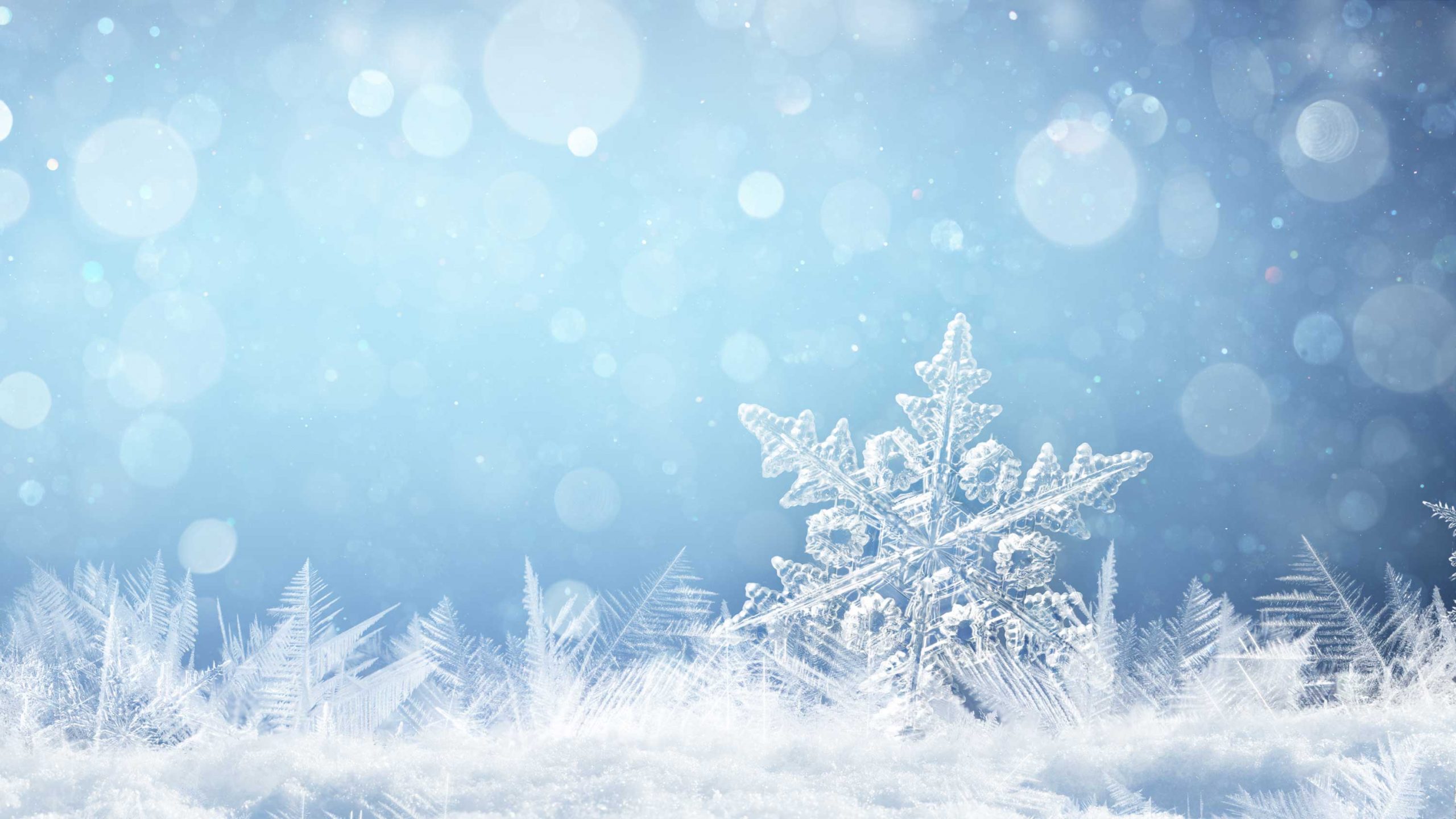 A Brief Analysis of Some Aḥadīth Reported about Winter - troid.org ...