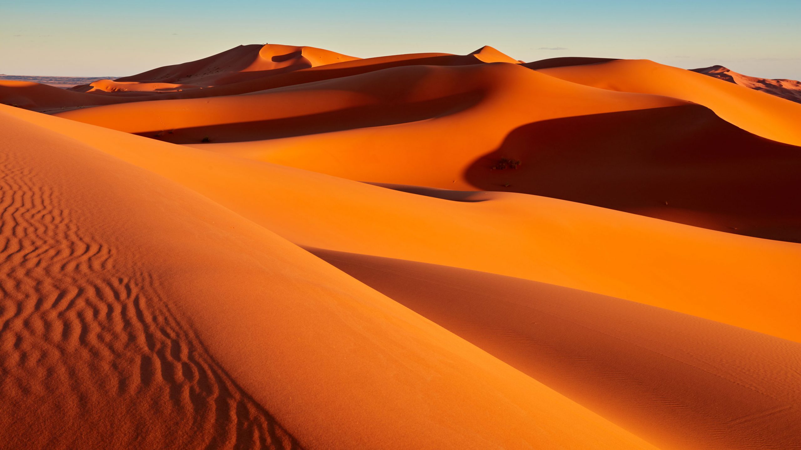 Who Are the Salaf? - troid.org | Digital Daʿwah