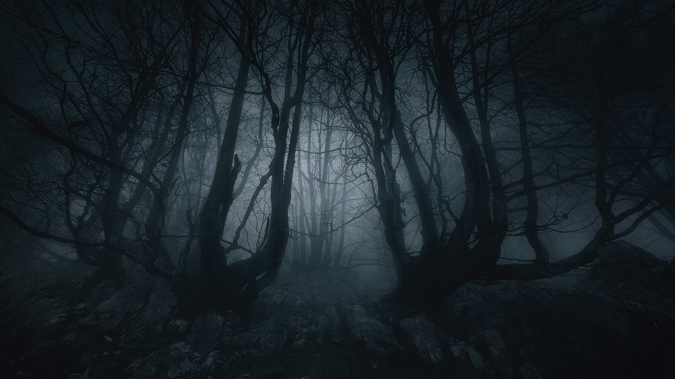 Evil Can Never be Attributed to Allāh - troid.org | Digital Daʿwah