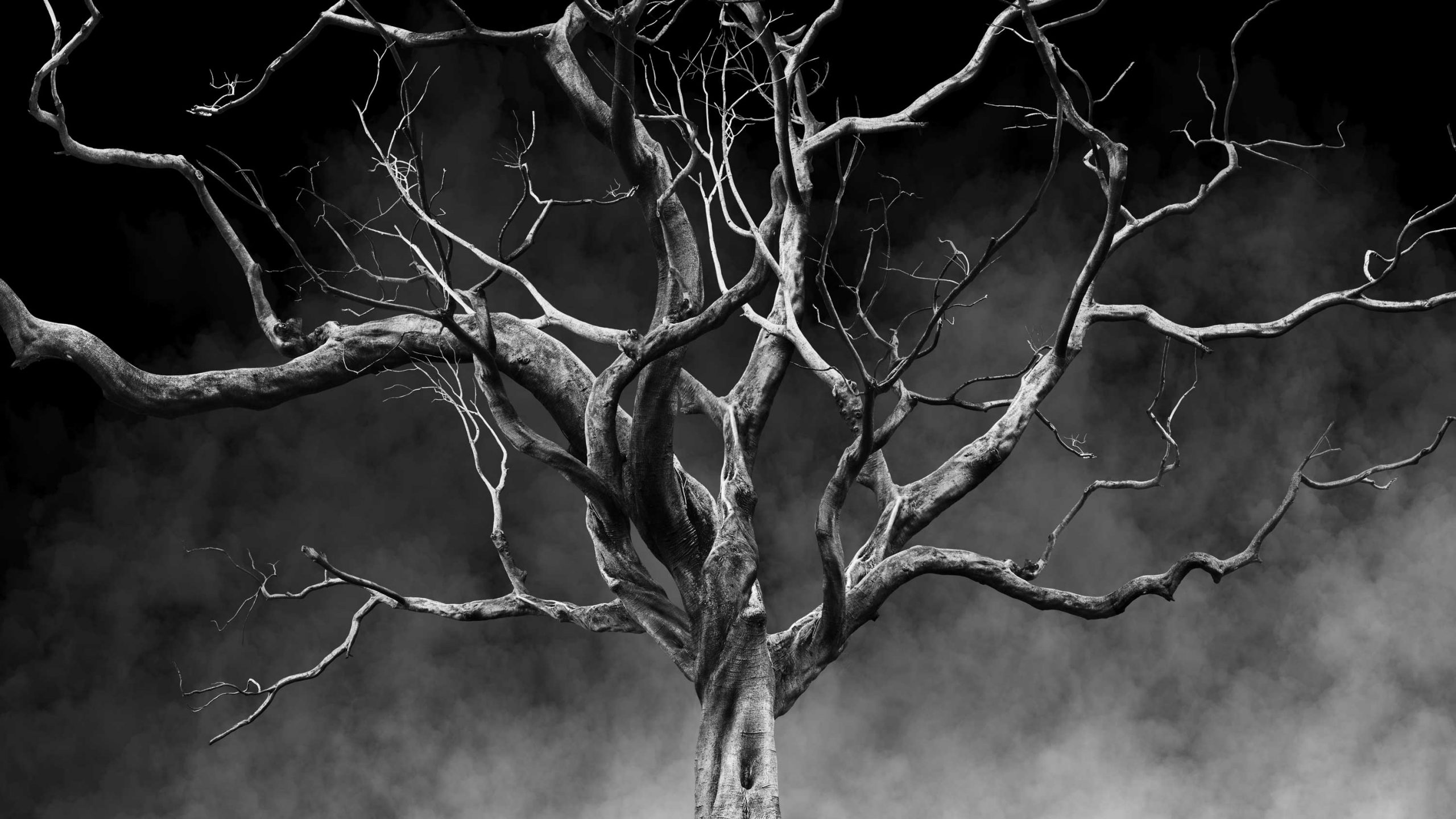 Effects of Evil - troid.org | Digital Daʿwah