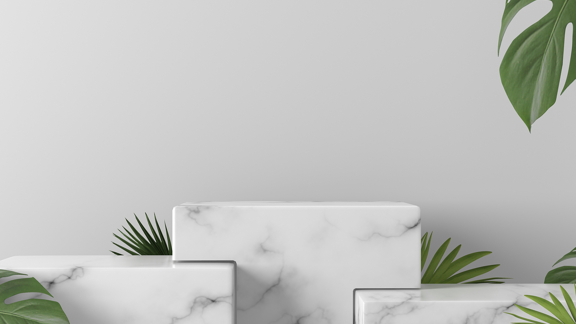 Categories of the Believers - troid.org | Digital Daʿwah