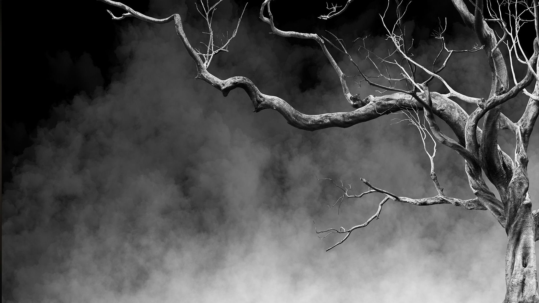 The Duʿāʾ of the Wretched - troid.org | Digital Daʿwah