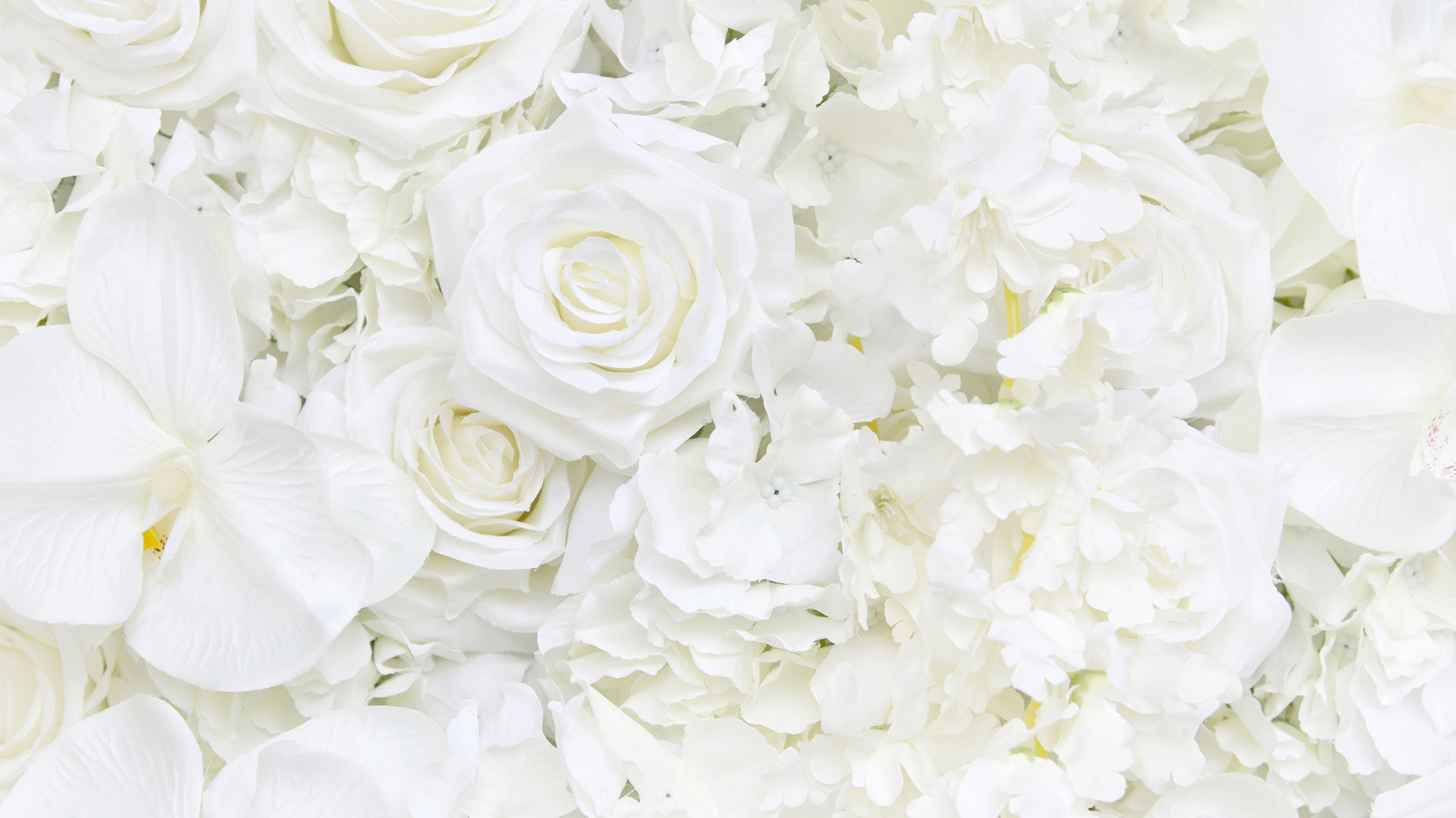 Given the Choice - Marry a Sister upon the Sunnah or a Sister upon ...