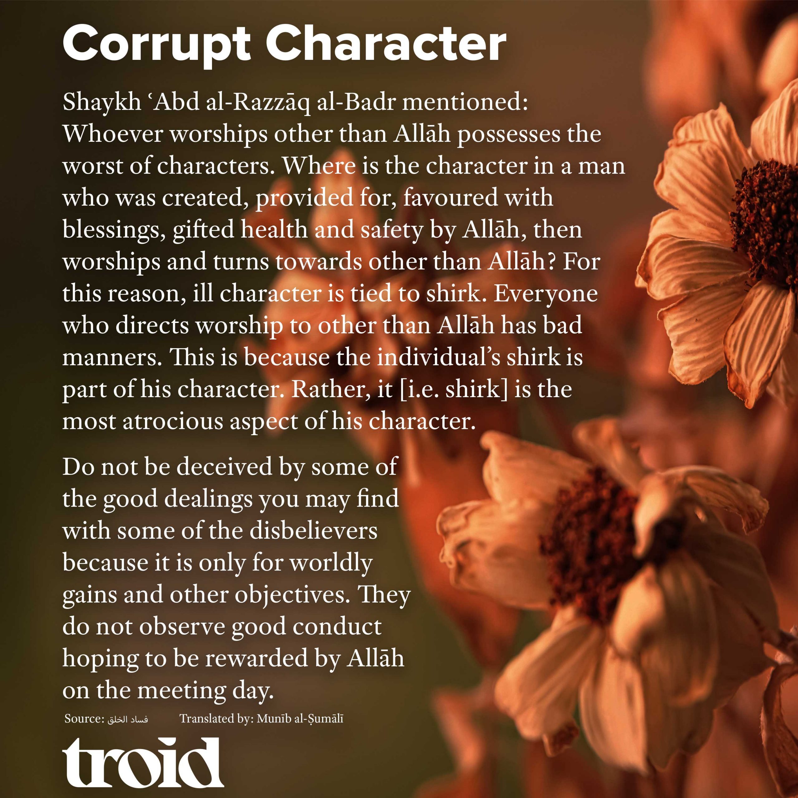 Corrupt Character - troid.org | Digital Daʿwah