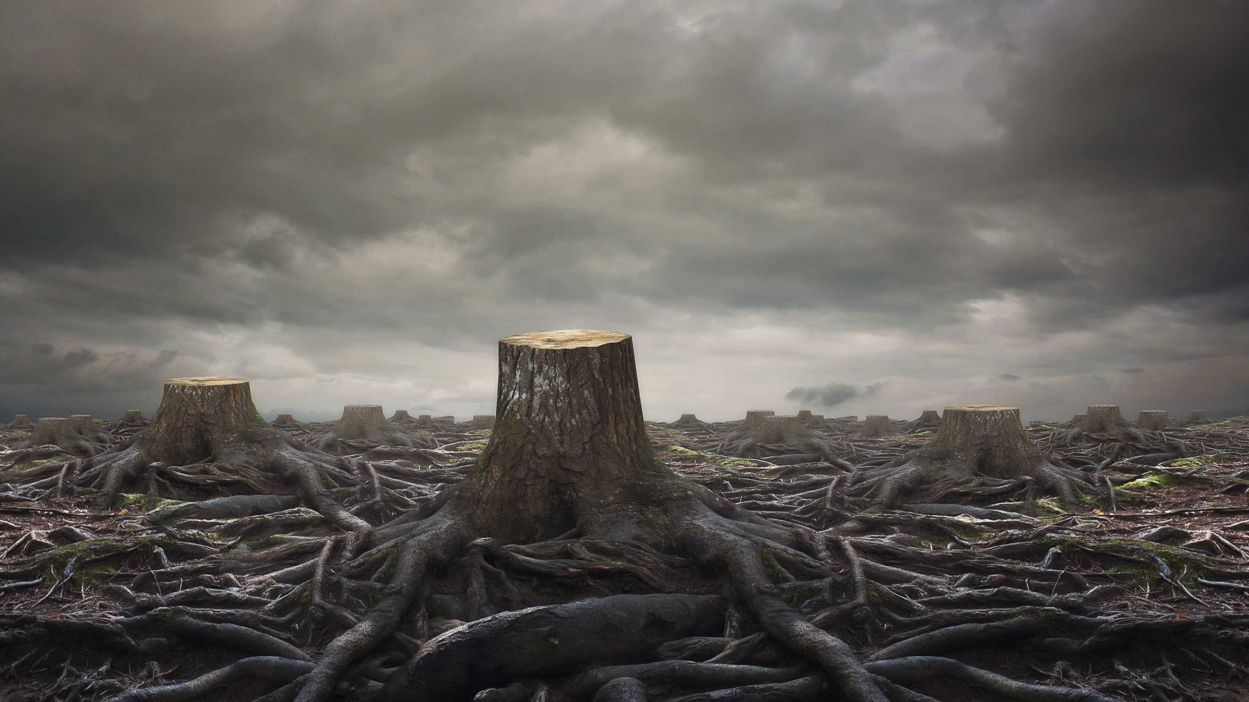 The Surprising Affair of the Sinner - troid.org | Digital Daʿwah