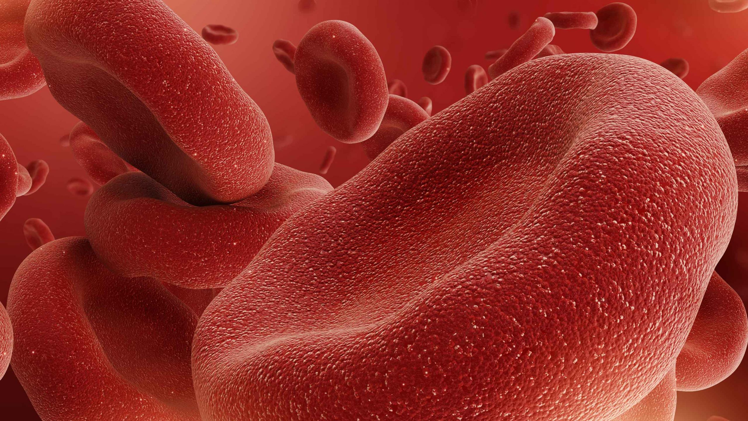 Is Blood Considered Impure (Najs)? - troid.org | Digital Daʿwah