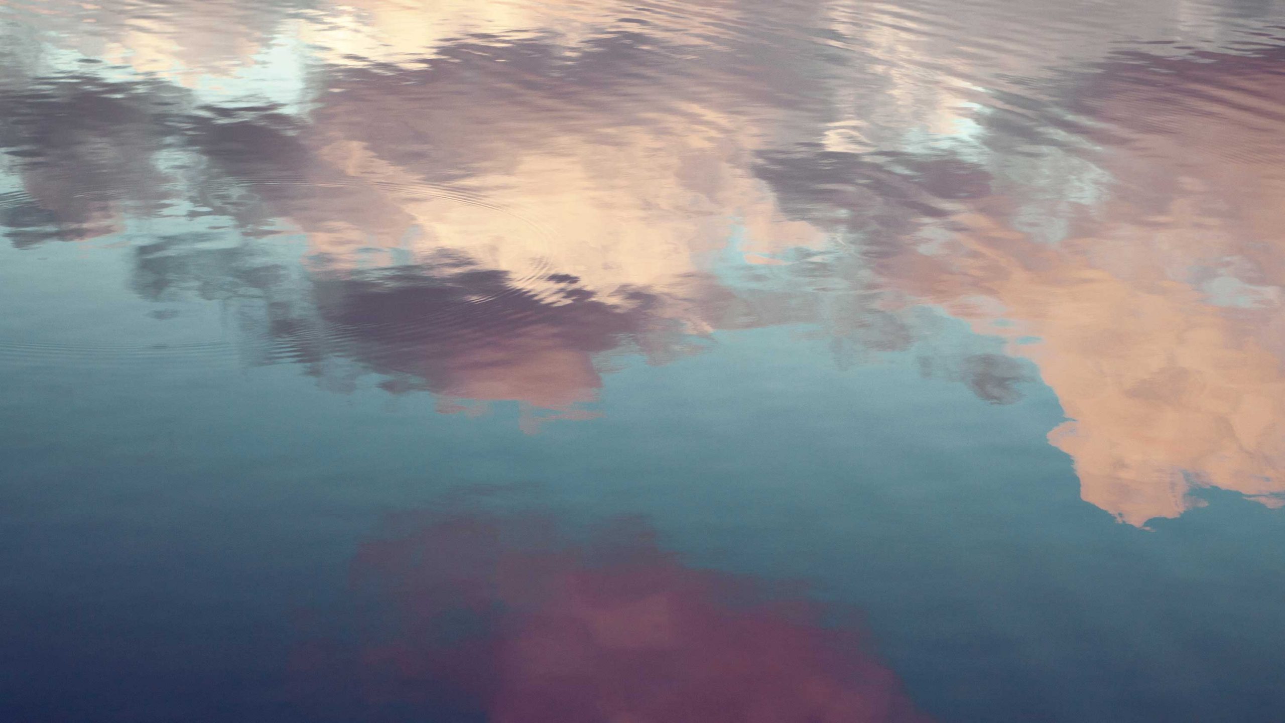 Reflections on TROID: Two Decades Later - troid.org | Digital Daʿwah