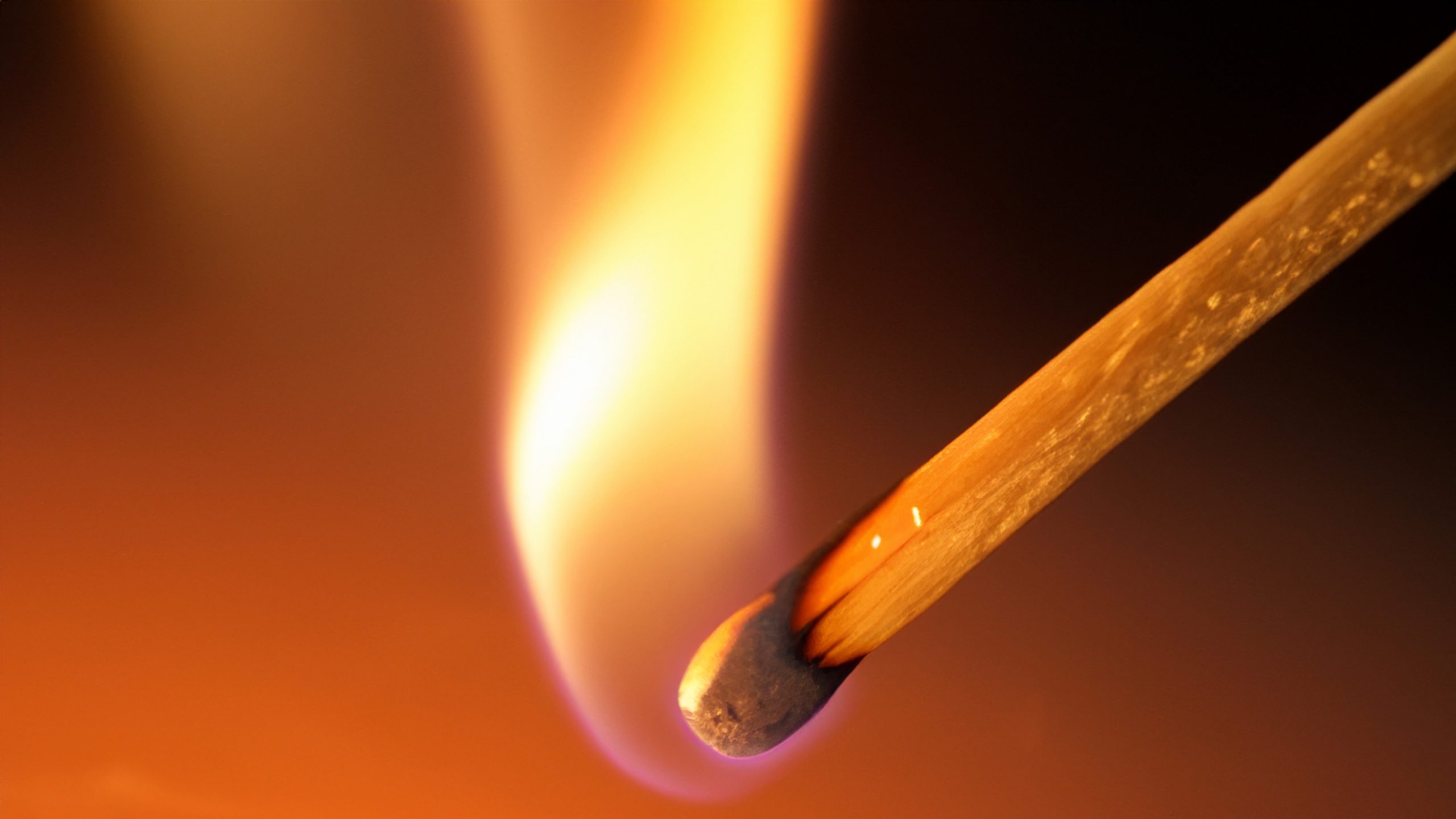 Types of Fanaticism - troid.org | Digital Daʿwah