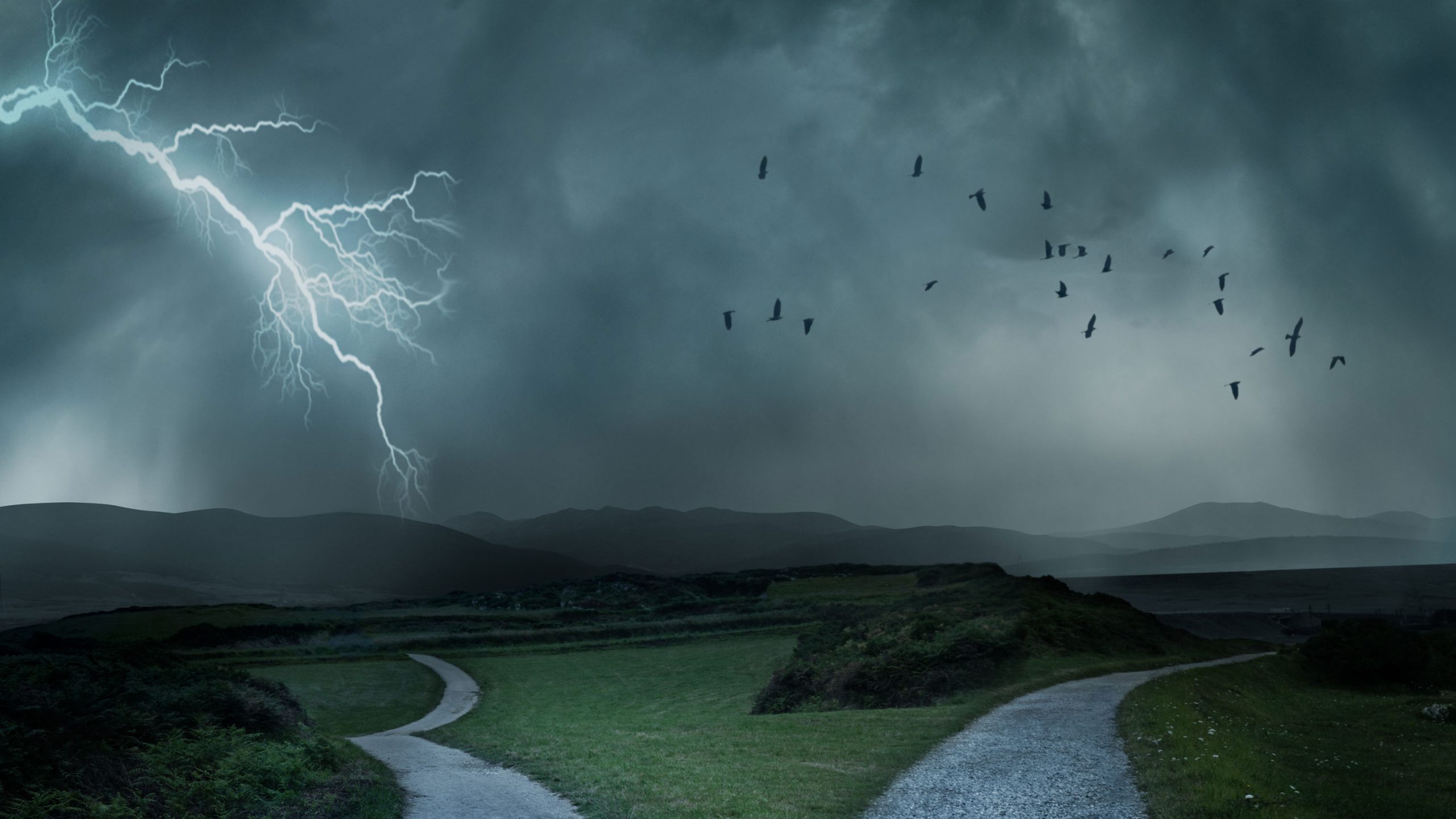 Straying upon Knowledge - troid.org | Digital Daʿwah