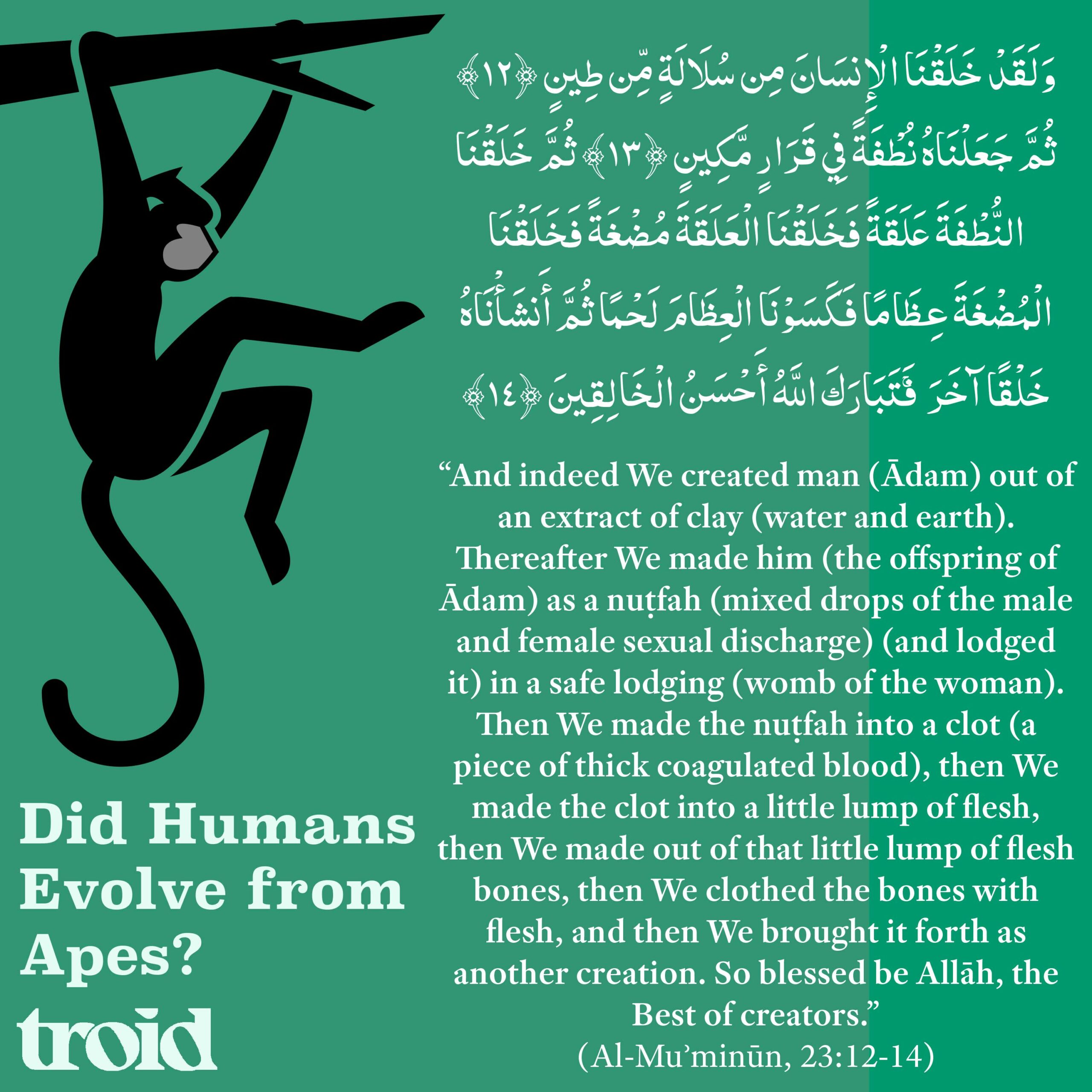 Did Humans Evolve from Apes? - troid.org | Digital Daʿwah