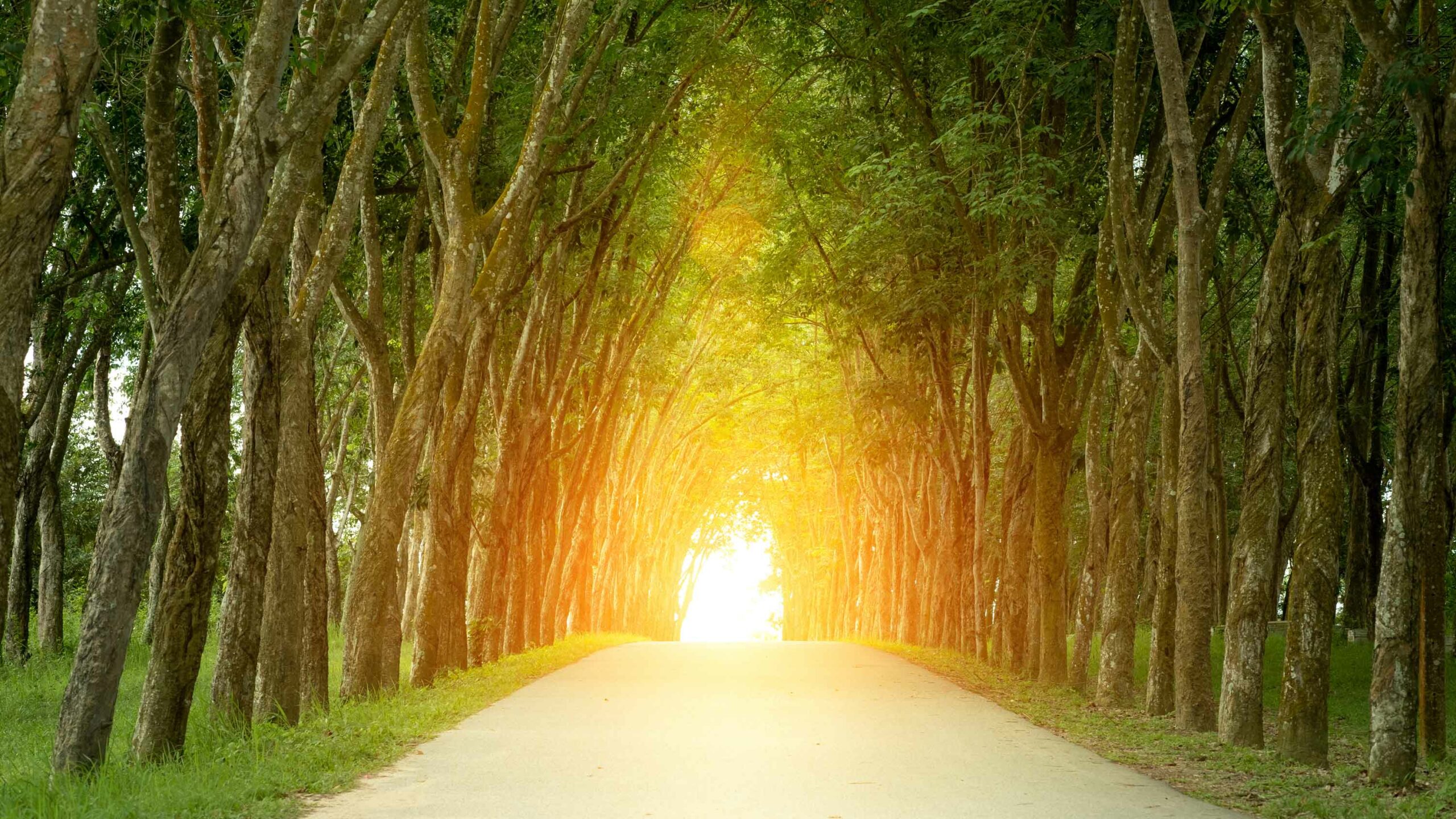 The Straight Path Is One, All Other Paths Lead to Destruction - troid ...