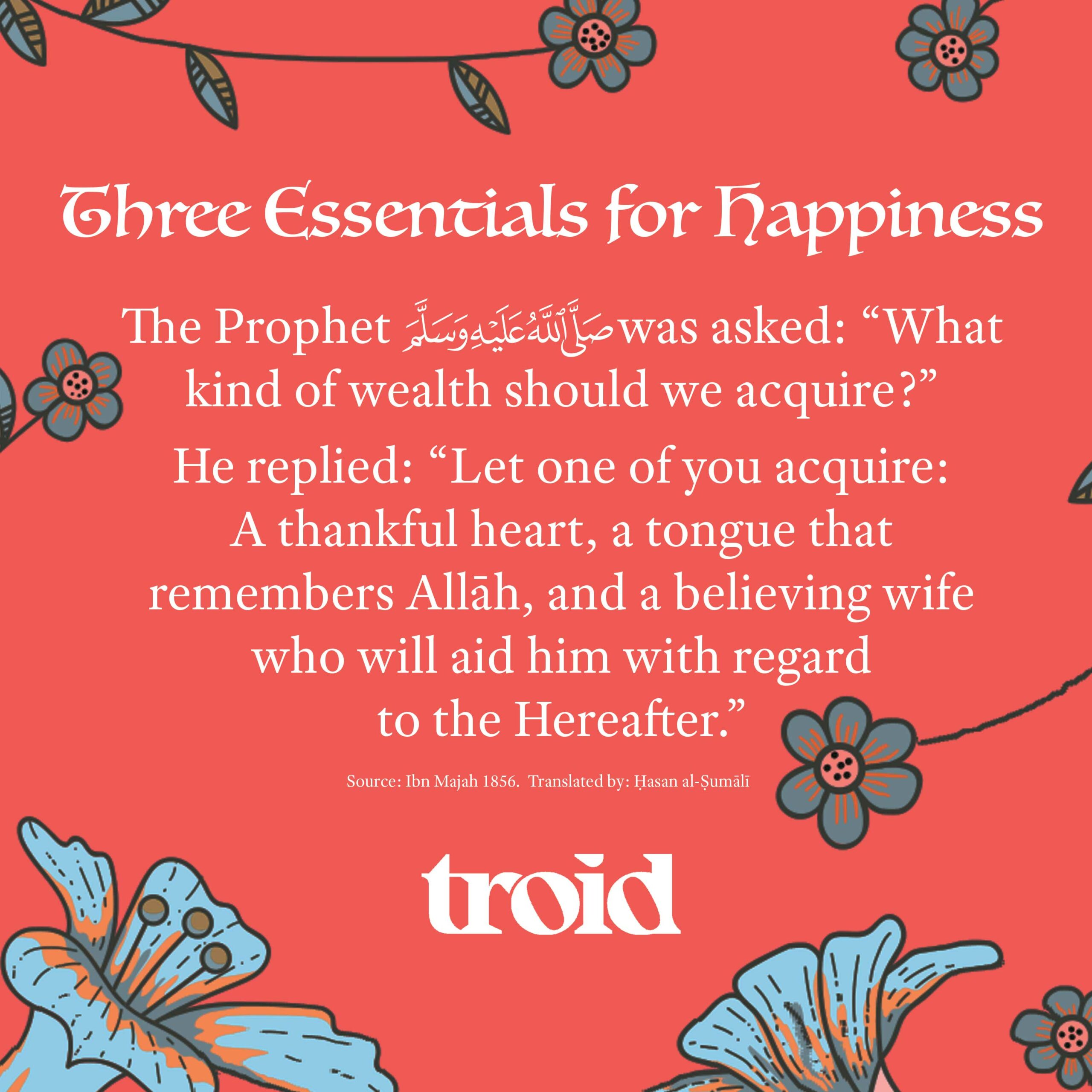 Three Essentials for Happiness - troid.org | Digital Daʿwah